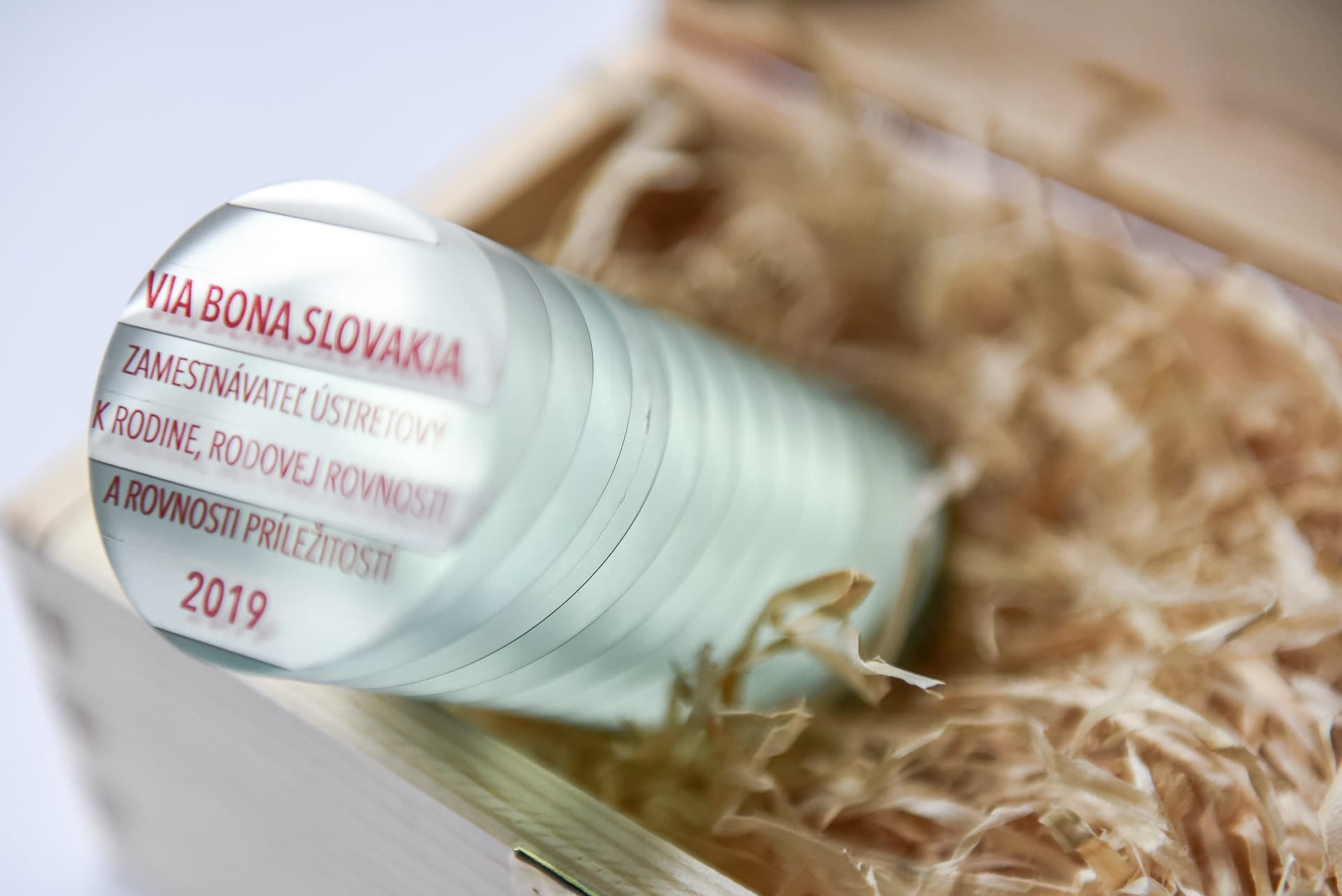 PRESTÍŽNA CENA VIA BONA SLOVAKIA PRE SLOVENSKÉ ELEKTRÁRNE - SEAS